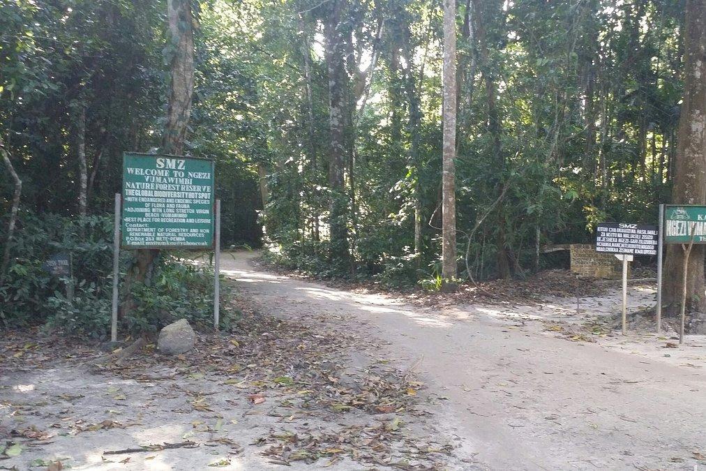 Pemba Ngezi Rain Forest Tour | Artu Expeditions