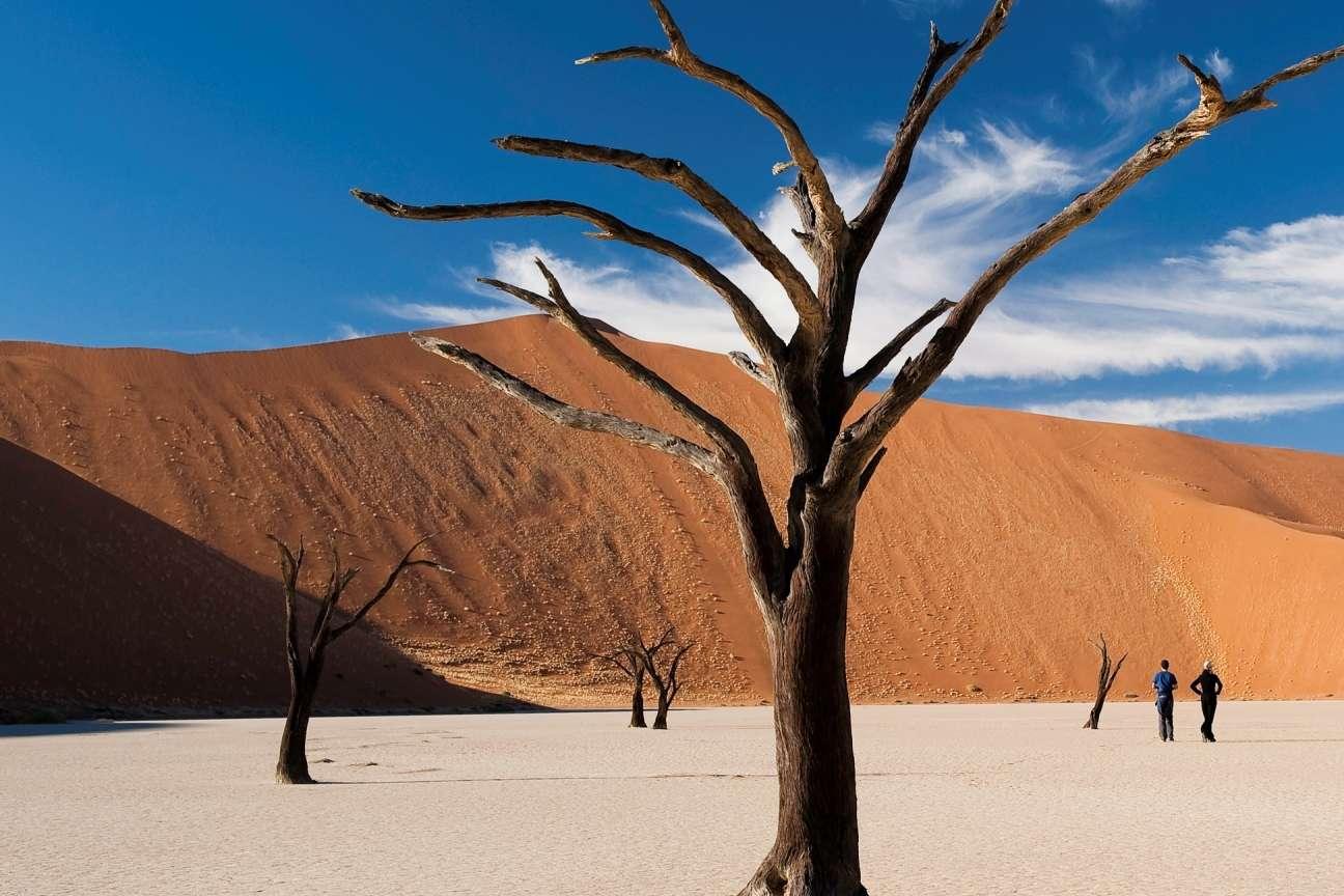 Central Namibia | Artu Expeditions