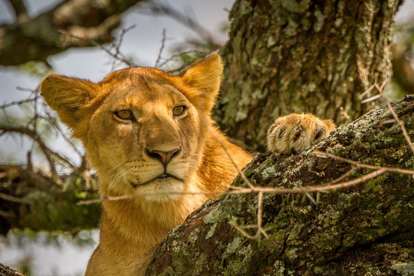 Arusha National Park | Artu Expeditions