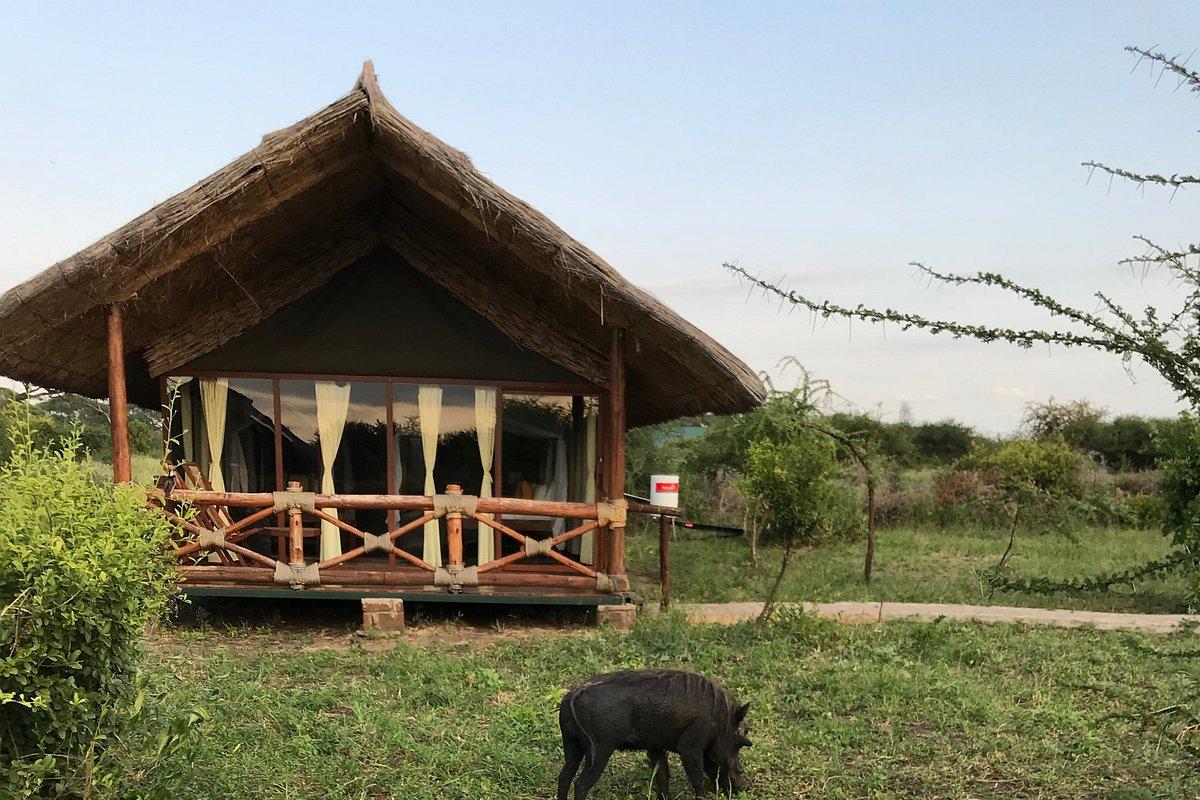 Tarangire Simba Lodge | Artu Expeditions