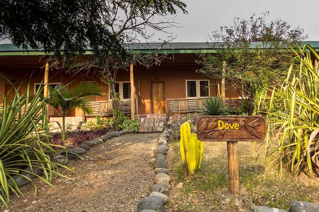 Simba Safari Camp | Artu Expeditions